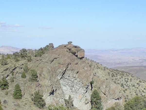 Conditions on the Pine Nut Range